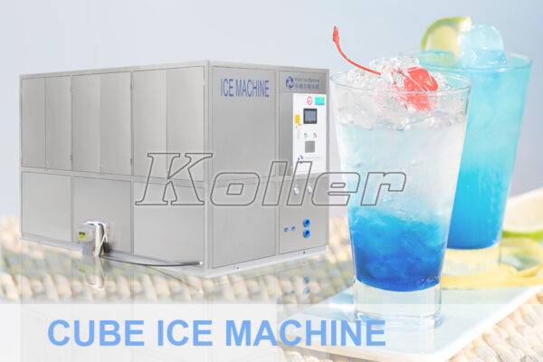 How to Start an Ice Making Business: A Step-by-Step Guide - Koller