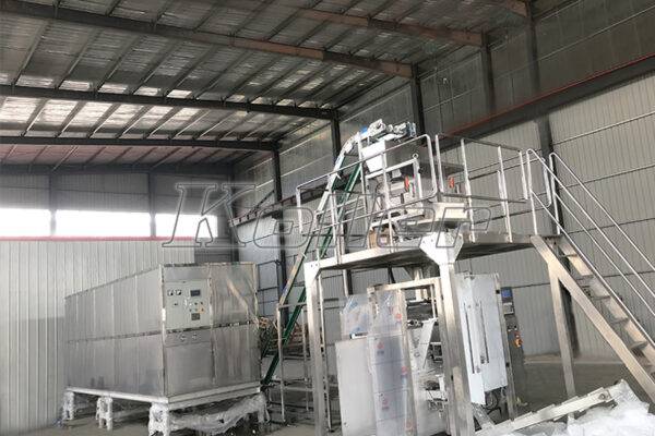 A Complete Guide to Cube Ice Making Machine - Koller